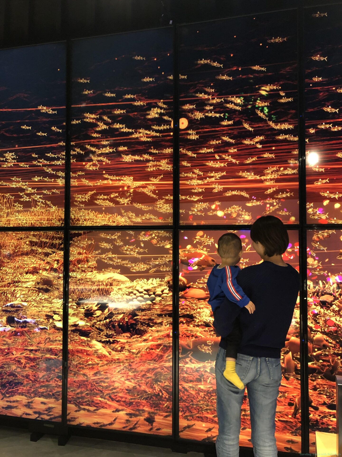 [ NAZUKI ] Japanese restaurant with digital arts in Tsukiji, Tokyo ...