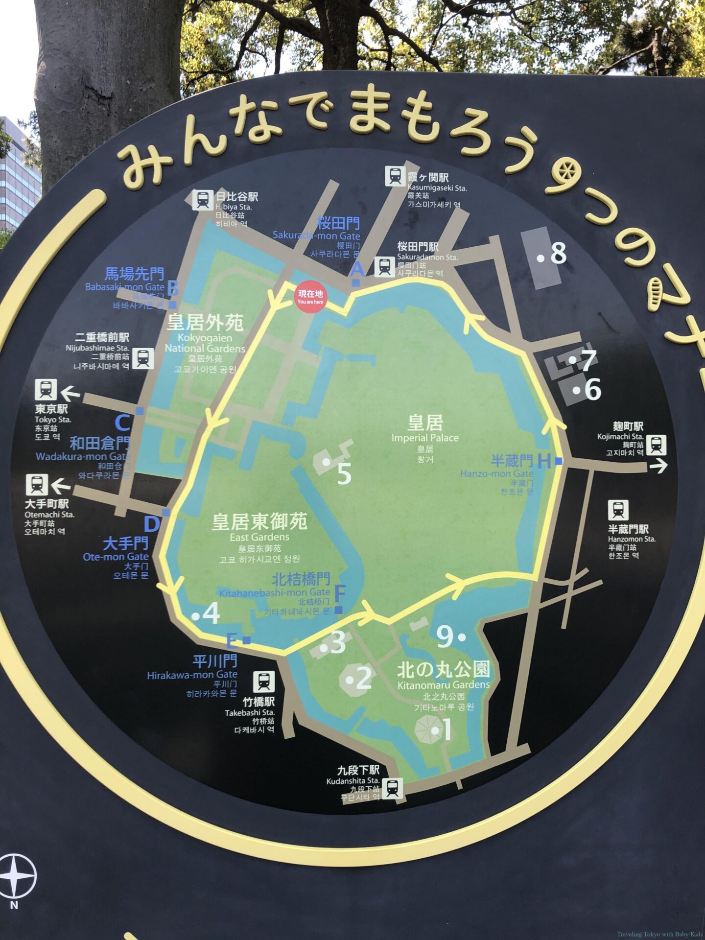 The Imperial Palace Run – Great jogging & sightseeing course in Tokyo ...