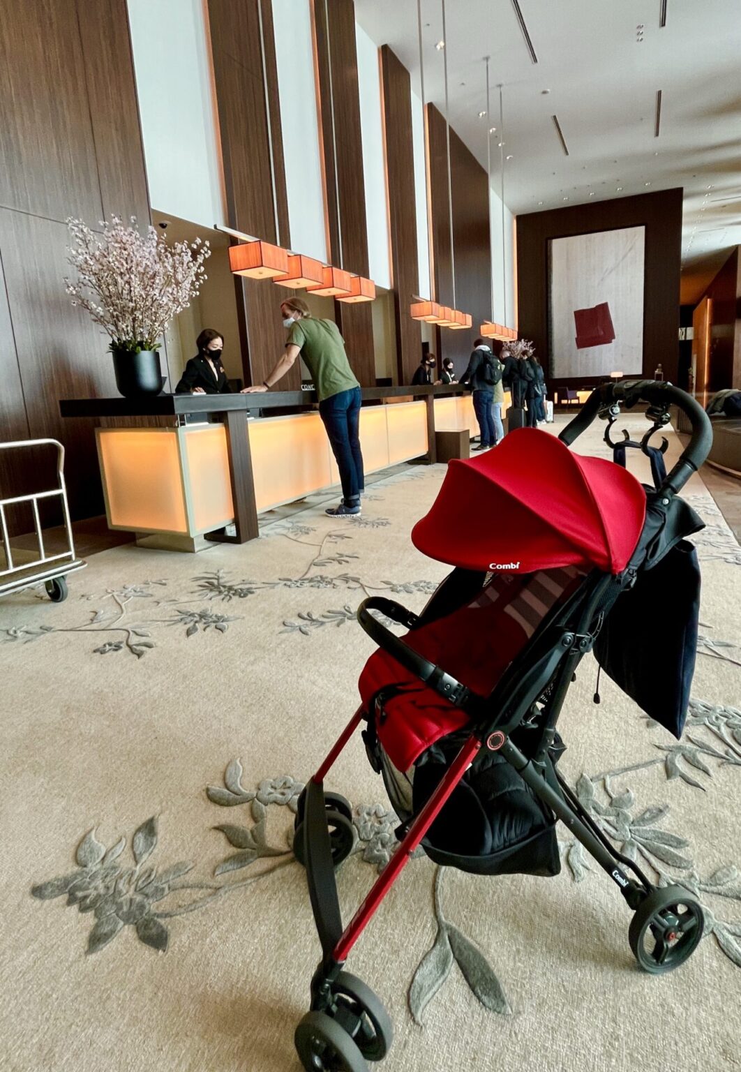 Rental Stroller in Ginza, Tokyo – Traveling Tokyo with Kids