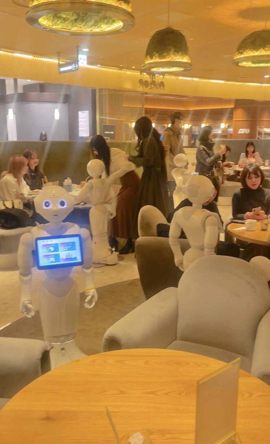 ROBOT cafe [ Pepper Parlor ] Kids-friendly comfy cafe in Shibuya ...